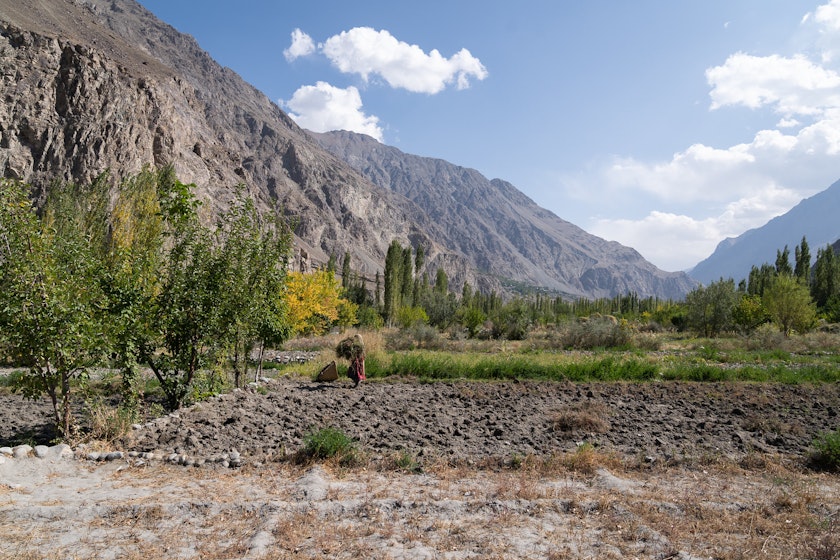 Pakistan - Agriculture and Food Security - AKDN